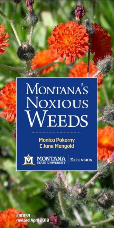 Noxious Weeds Flipbook-August_2018 - MSU Extension Invasive Plants ...