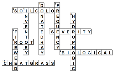 2019 Crossword Puzzles - MSU Extension Invasive Plants | Montana State ...